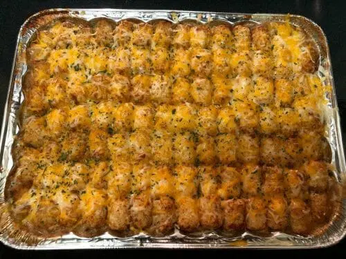 Super Easy Tater Tots Bake – 99 EASY RECIPES